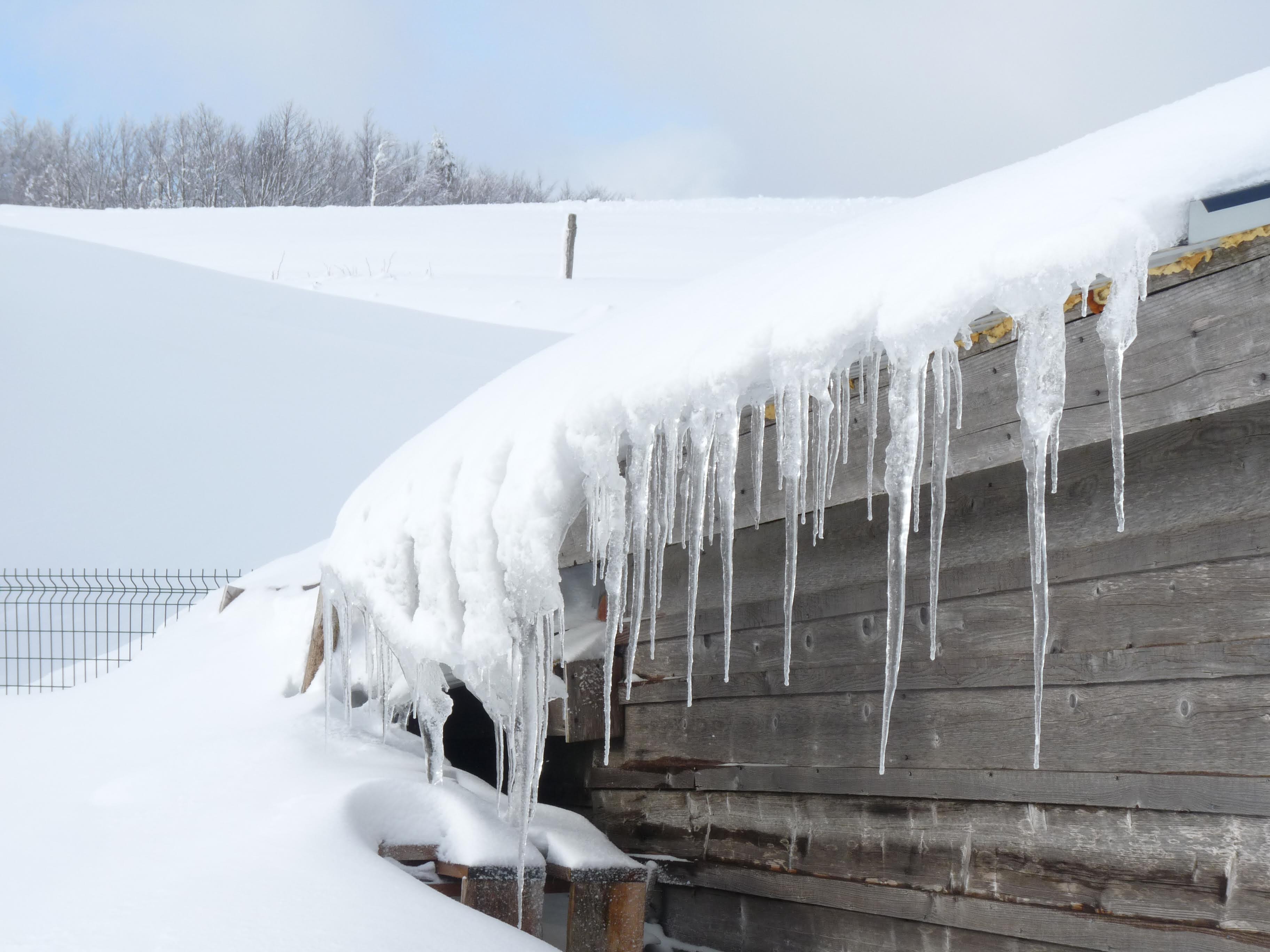 Hiver… – Le blog de Passiflore